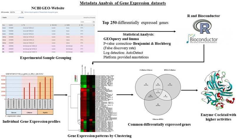 Metadata Analysis Approaches for Understanding and Improving the ...