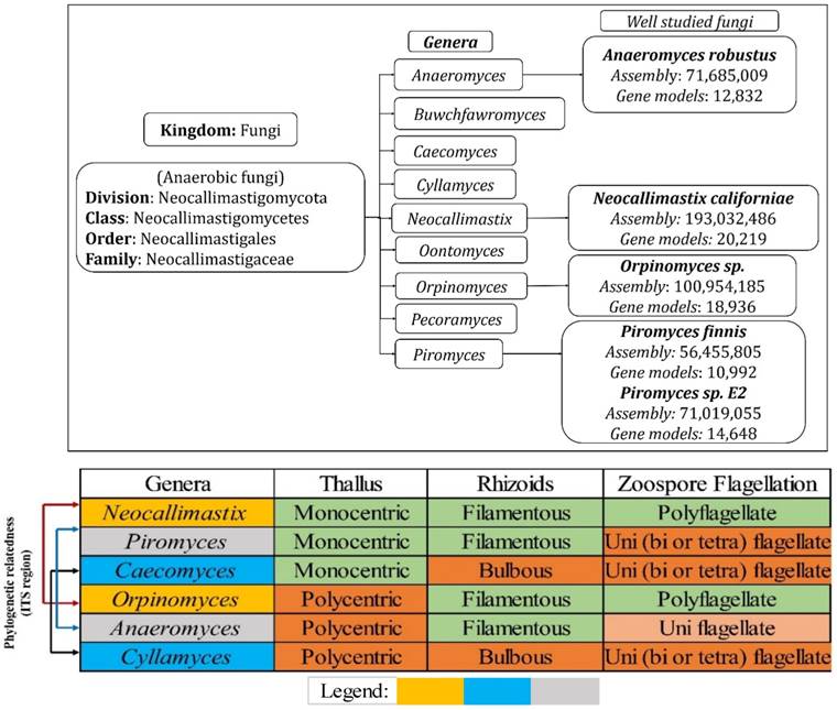 Genome Wide Analysis Reveals the Extrinsic Cellulolytic and Biohydrogen ...